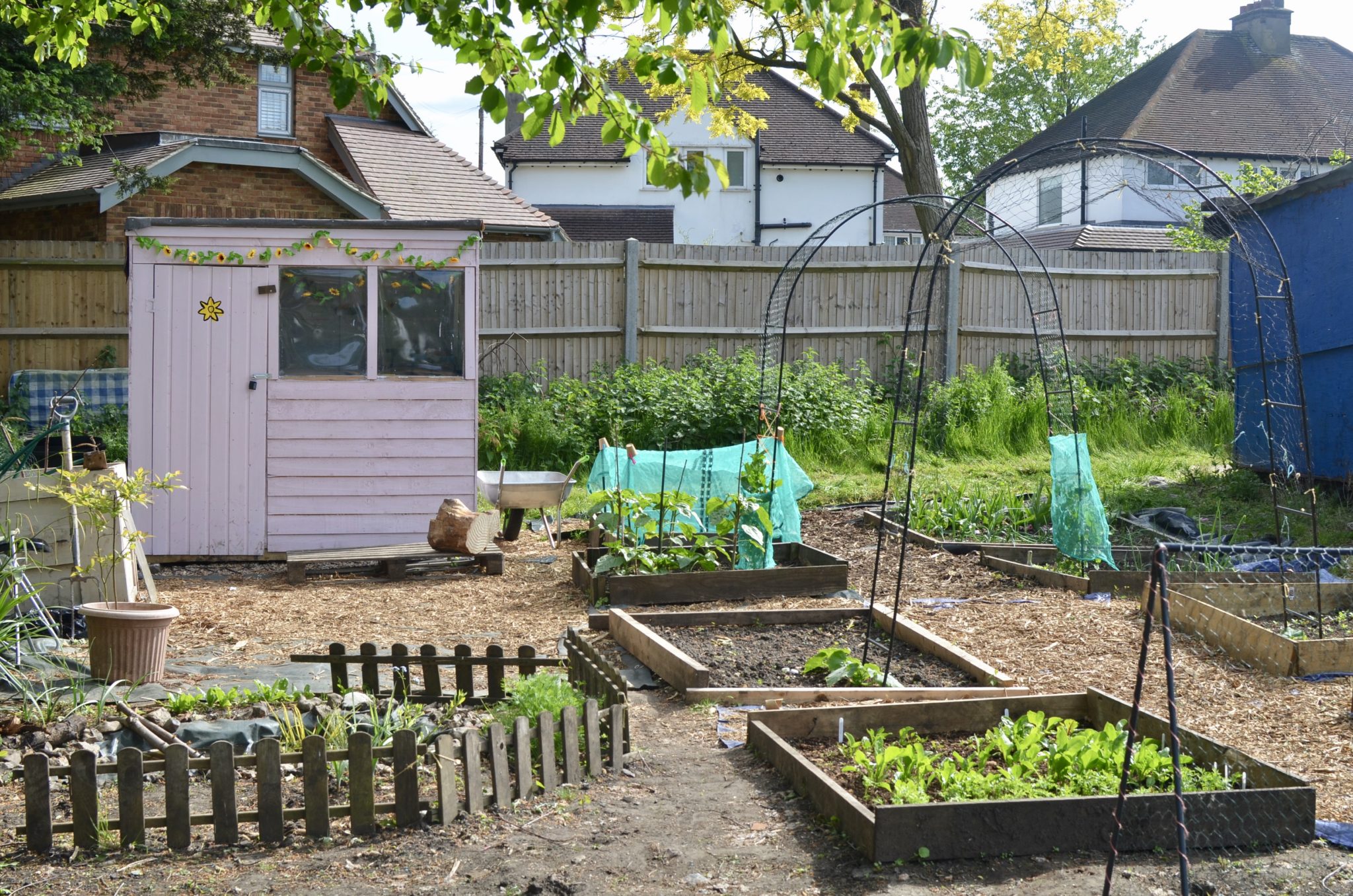 WHAT ARE THE RULES FOR HAVING AN ALLOTMENT? - The Pink Shed