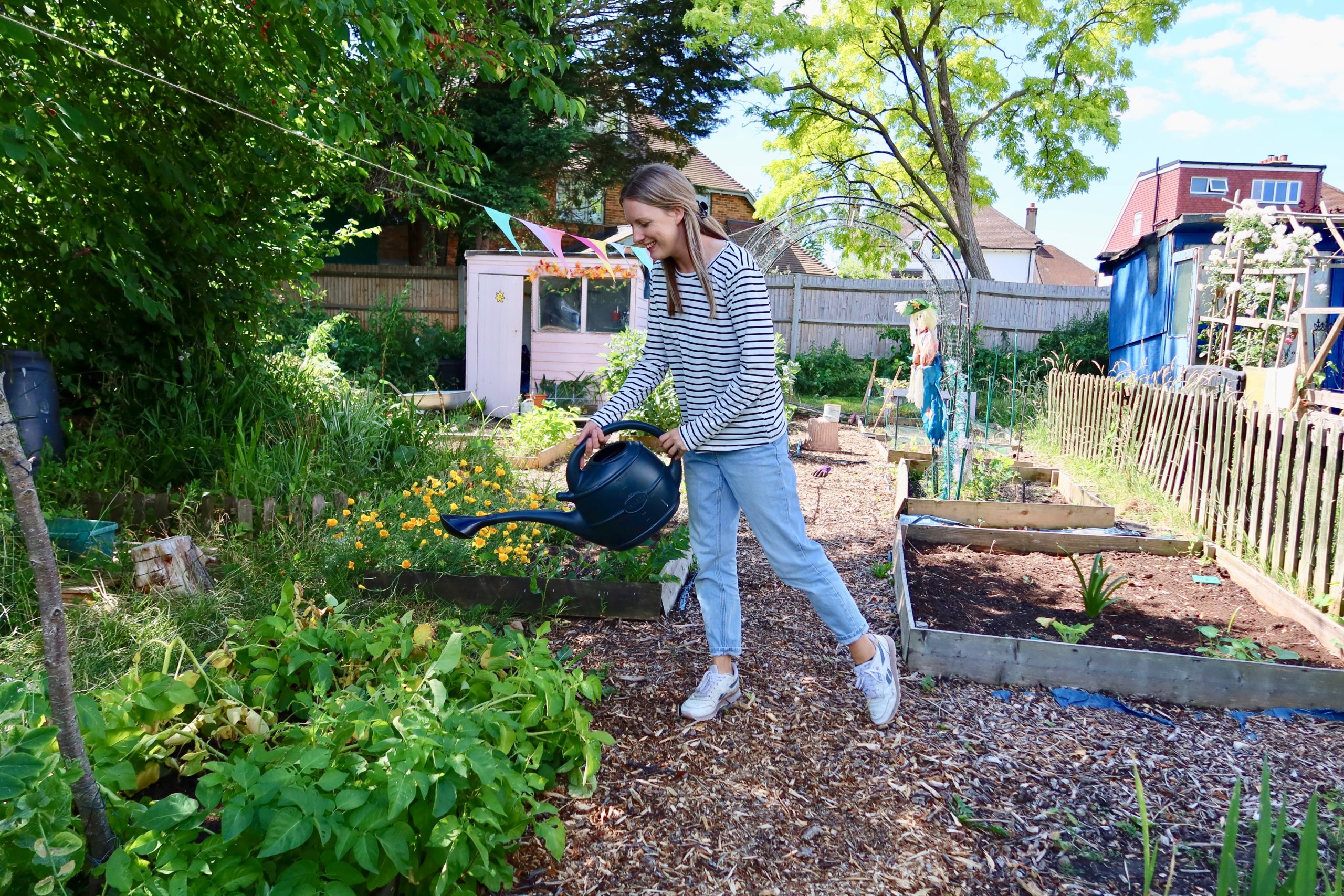 WHAT ARE THE RULES FOR HAVING AN ALLOTMENT? - The Pink Shed